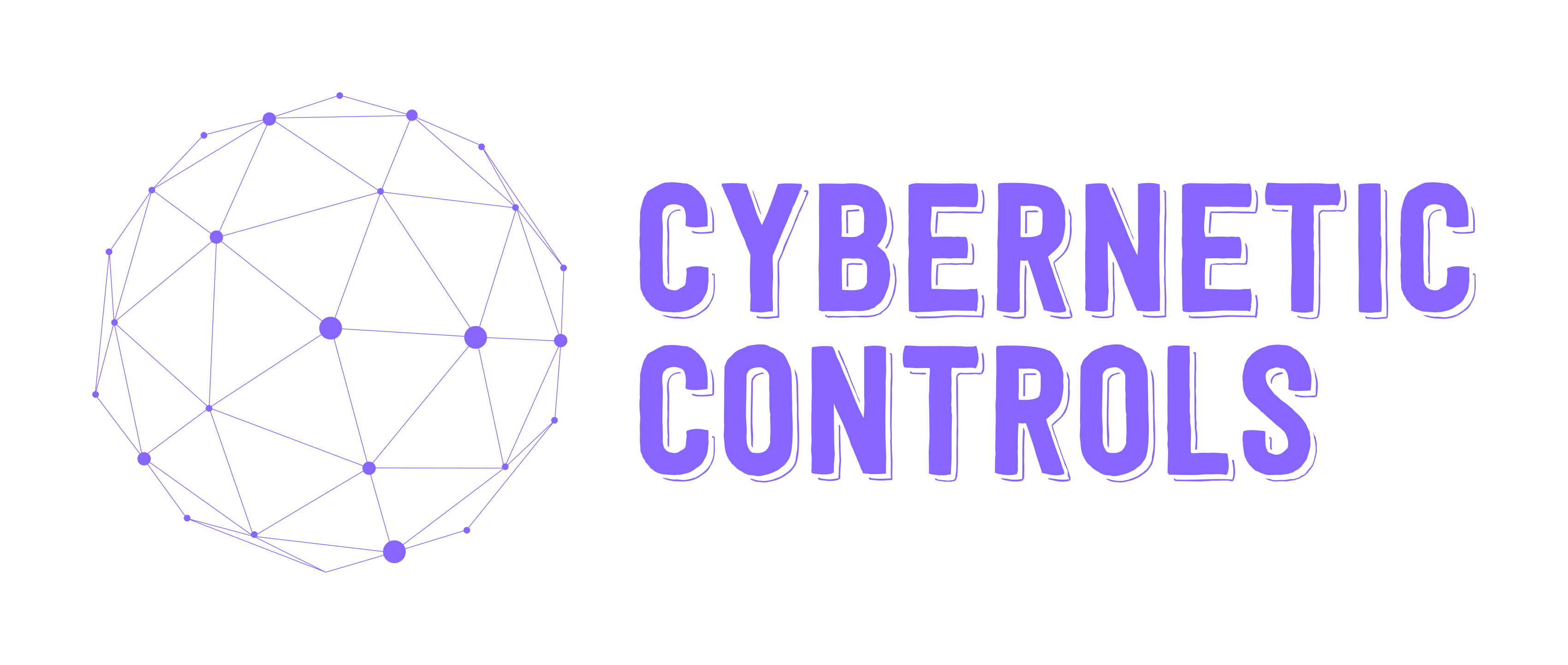 Cybernetic Controls - Cybernetic Controls